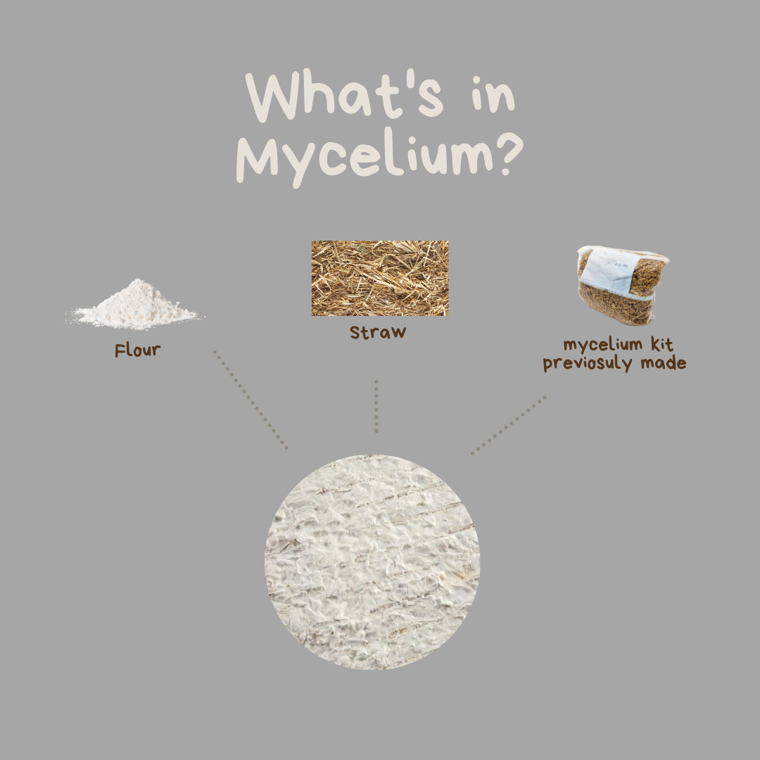 Mycelium - Vania Bisbal - MDEF & Fab Lab Barcelona